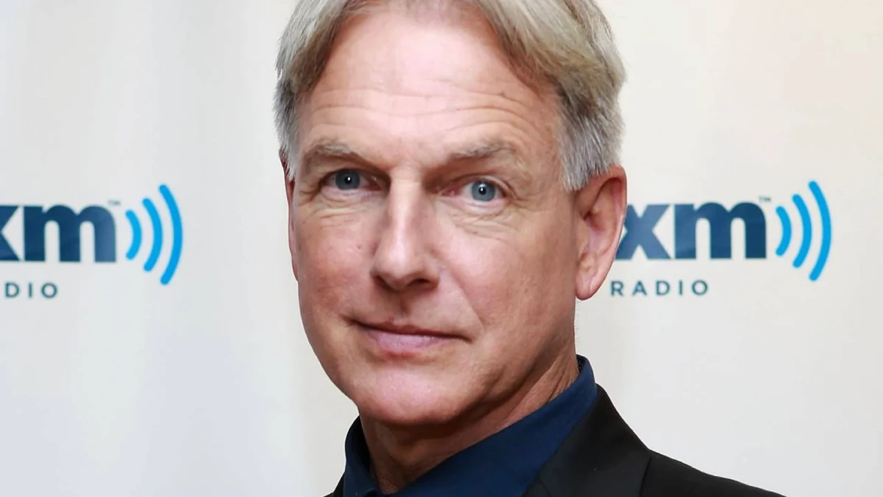 What NCIS Stars Just Admitted About Mark Harmon Surprised Fans ...